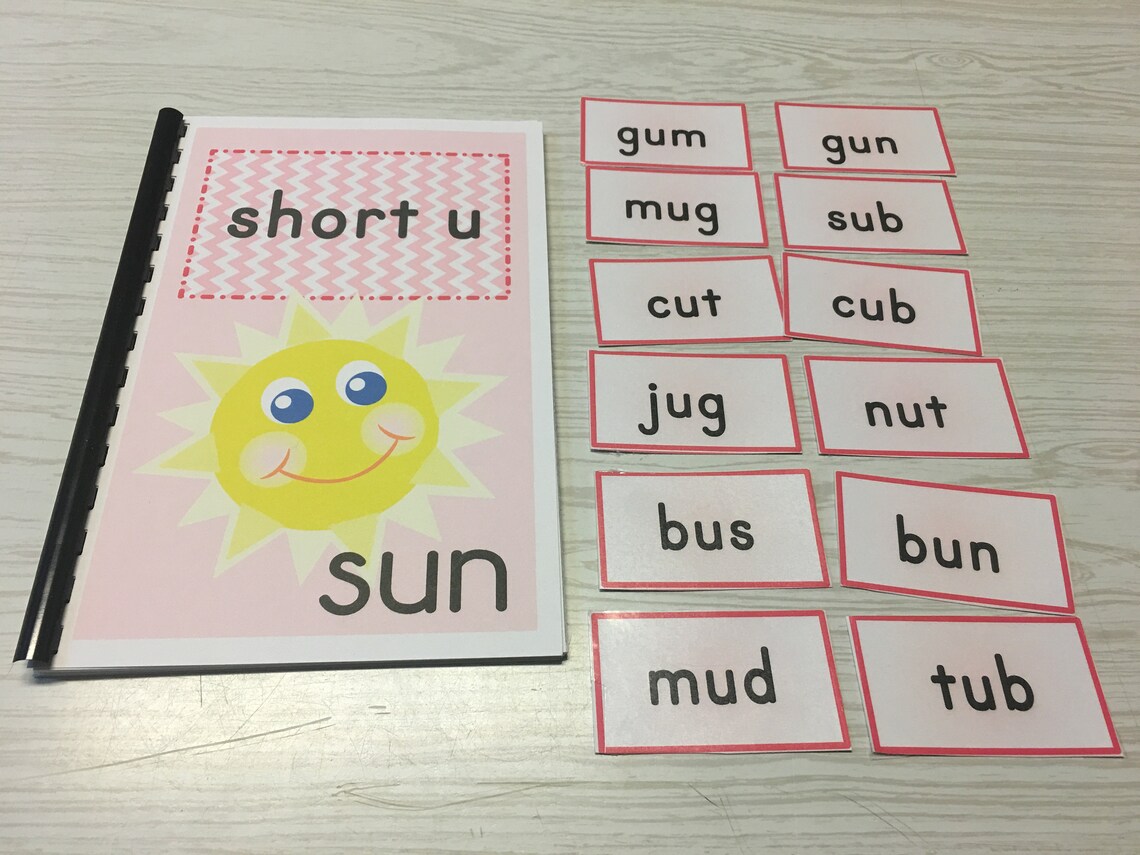The Pink Series Interactive Learning Books Short Vowel Set W/ 60 ...