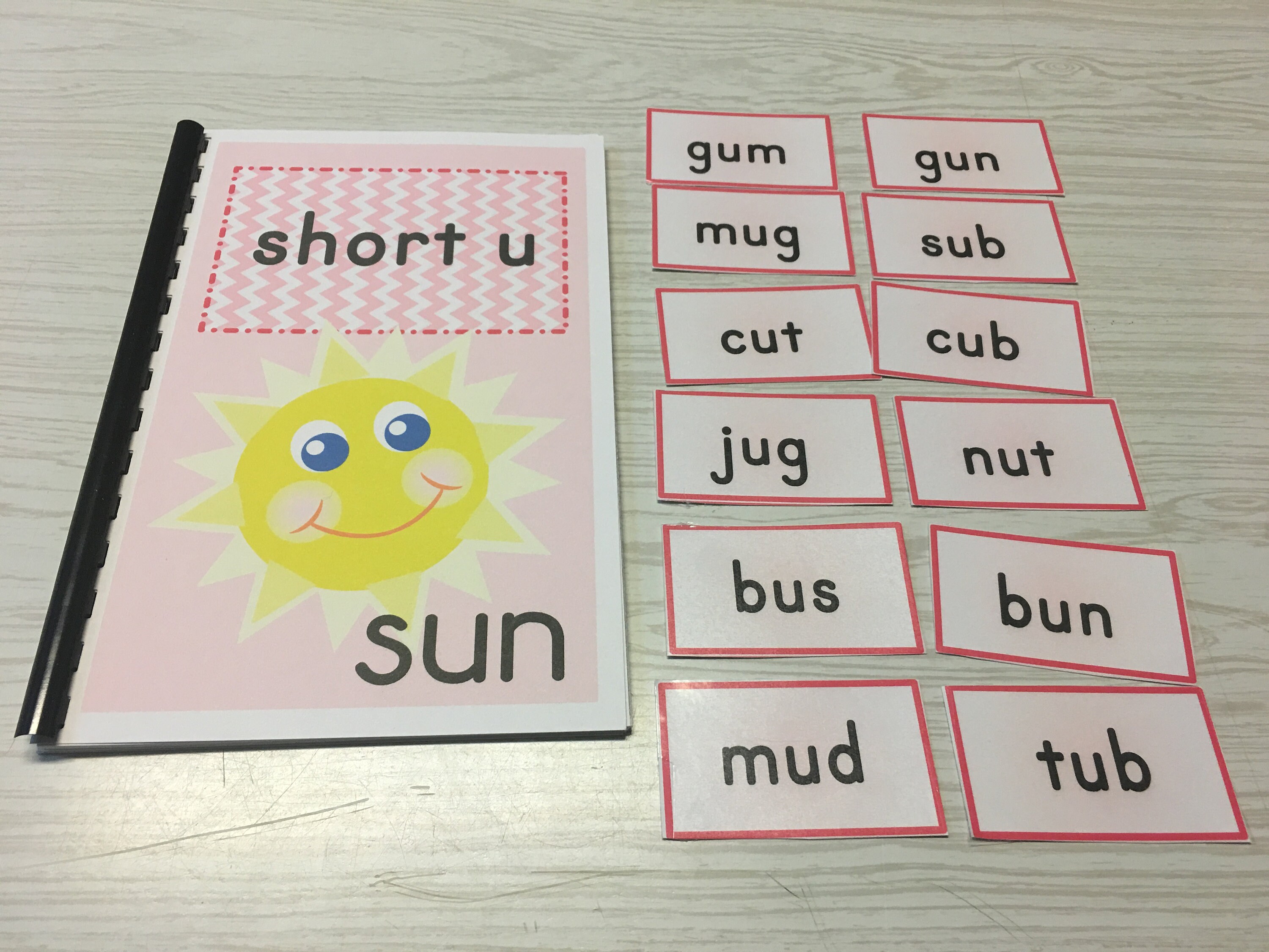 The Pink Series Interactive Learning Books Short Vowel Set W 60