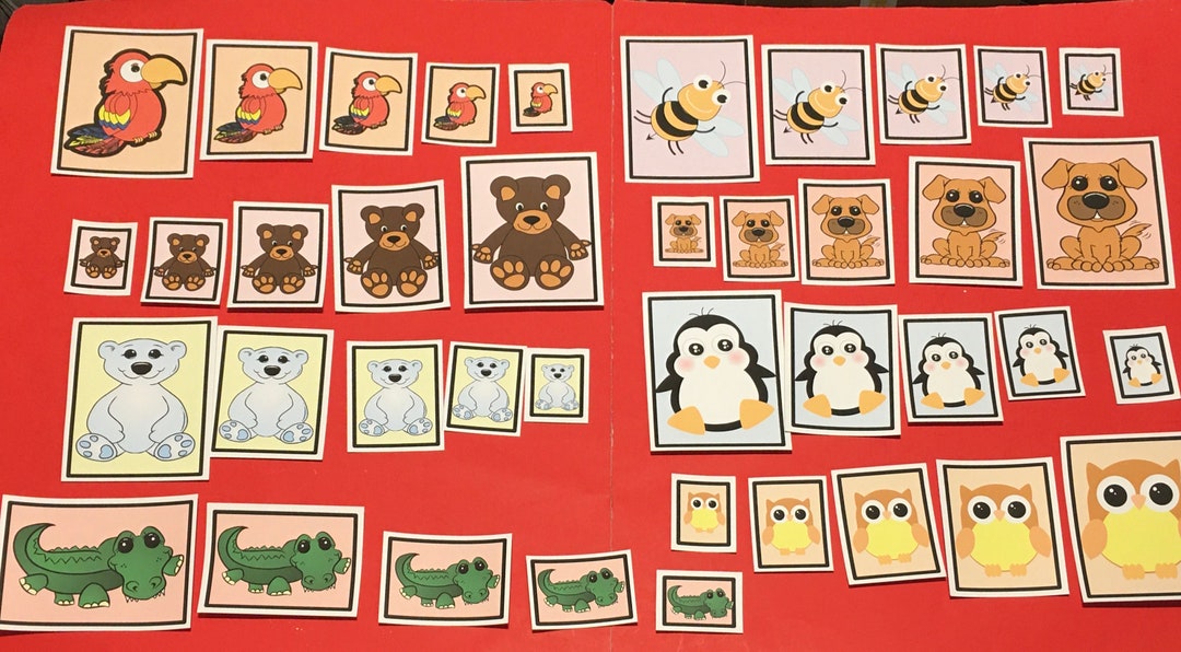 Laminated Sorting Cards - Size Sorting - 40 Cards Set - Etsy