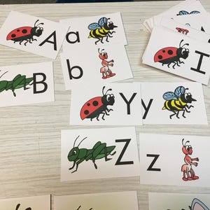 INSTANT DOWNLOAD - Insect - Themed Activities Package for Learning ...