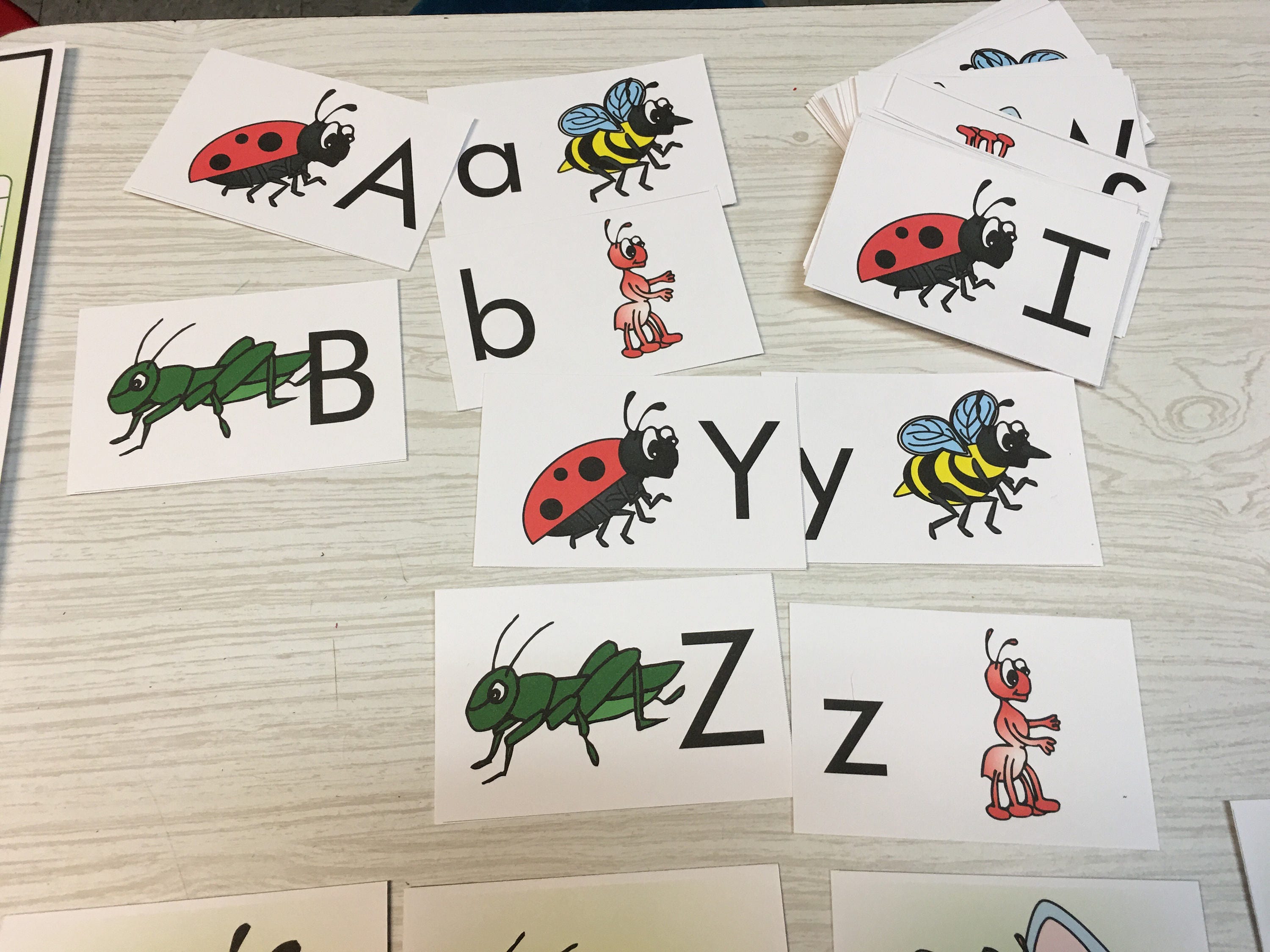 INSTANT DOWNLOAD Insect Themed Activities Package for Learning Centers ...