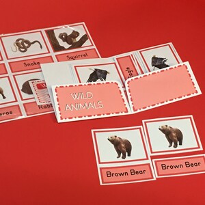 Zoology Series - Wild Animals - Three Part Card Set - Montessori ...