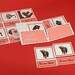 Zoology Series - Wild Animals - Three Part Card Set - Montessori ...