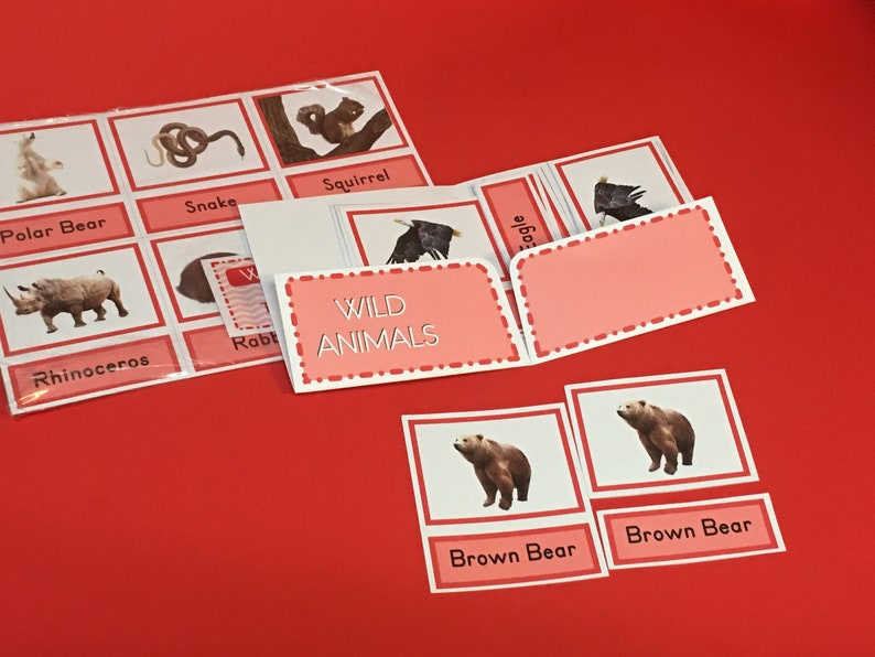 Zoology Series - Wild Animals - Three Part Card Set - Montessori ...