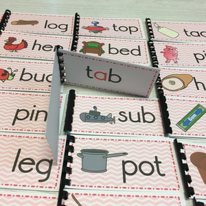 The Pink Series - 24 CVC Word Families Booklets - LAMINATED ...