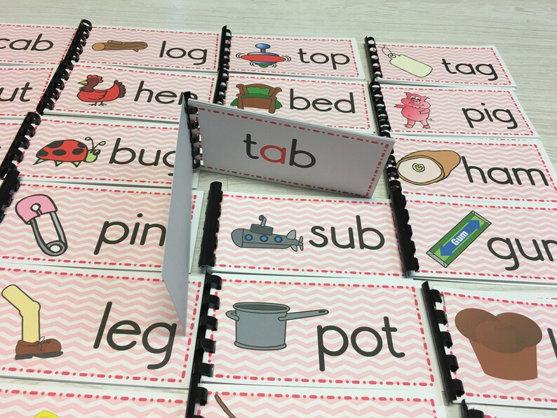 The Pink Series 24 CVC Word Families Booklets LAMINATED Montessori ...