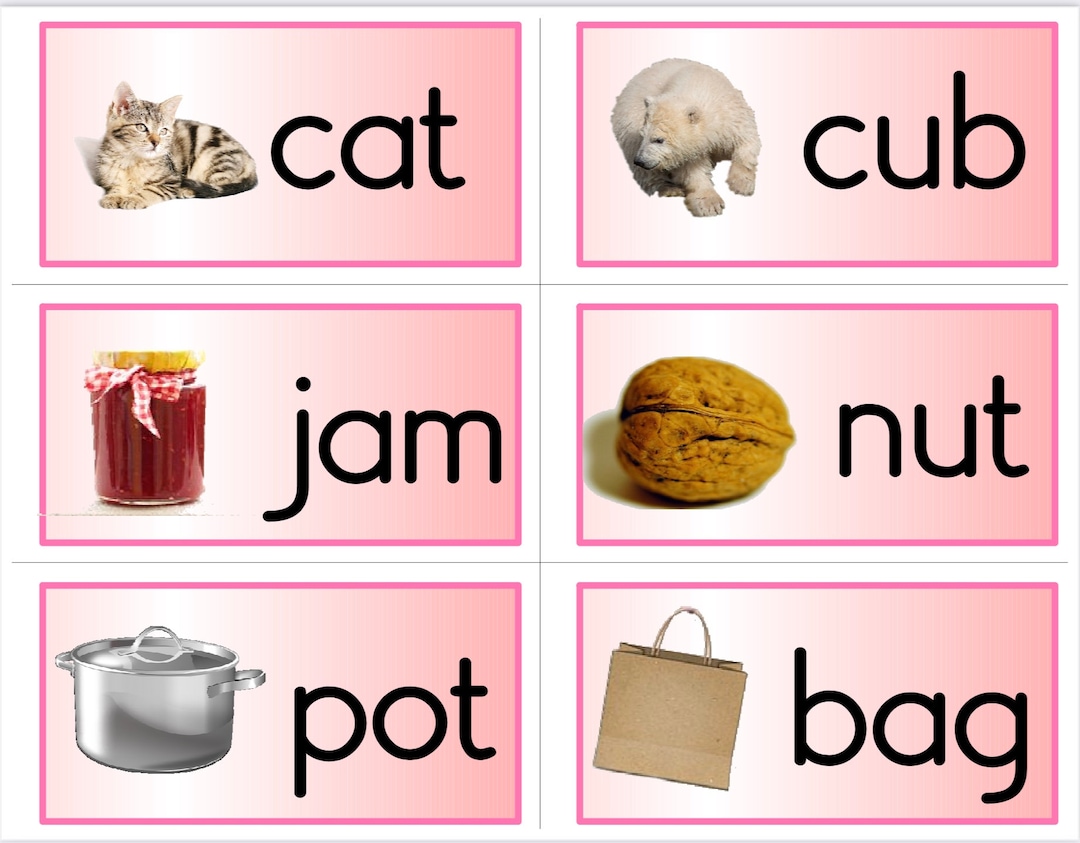 Pink Series 24 CVC Word Families Booklets Montessori Material for ...