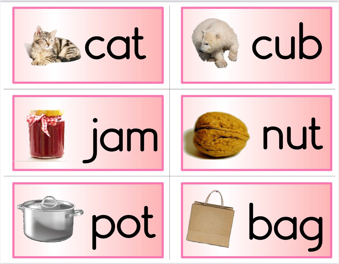 Pink Series 24 CVC Word Families Booklets Montessori Material for ...