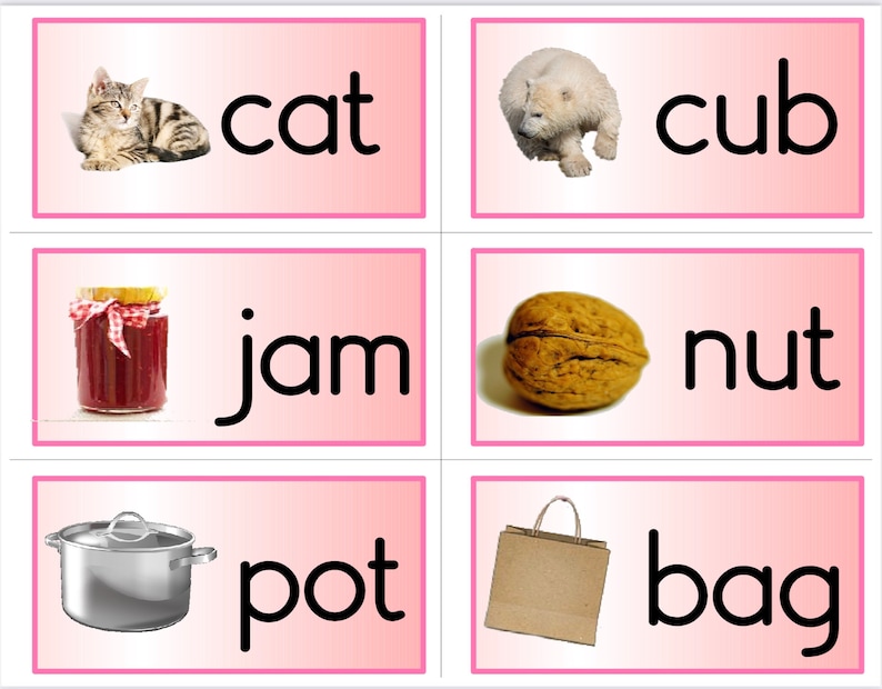 Pink Series - 24 CVC Word Families Booklets- Montessori Material for ...