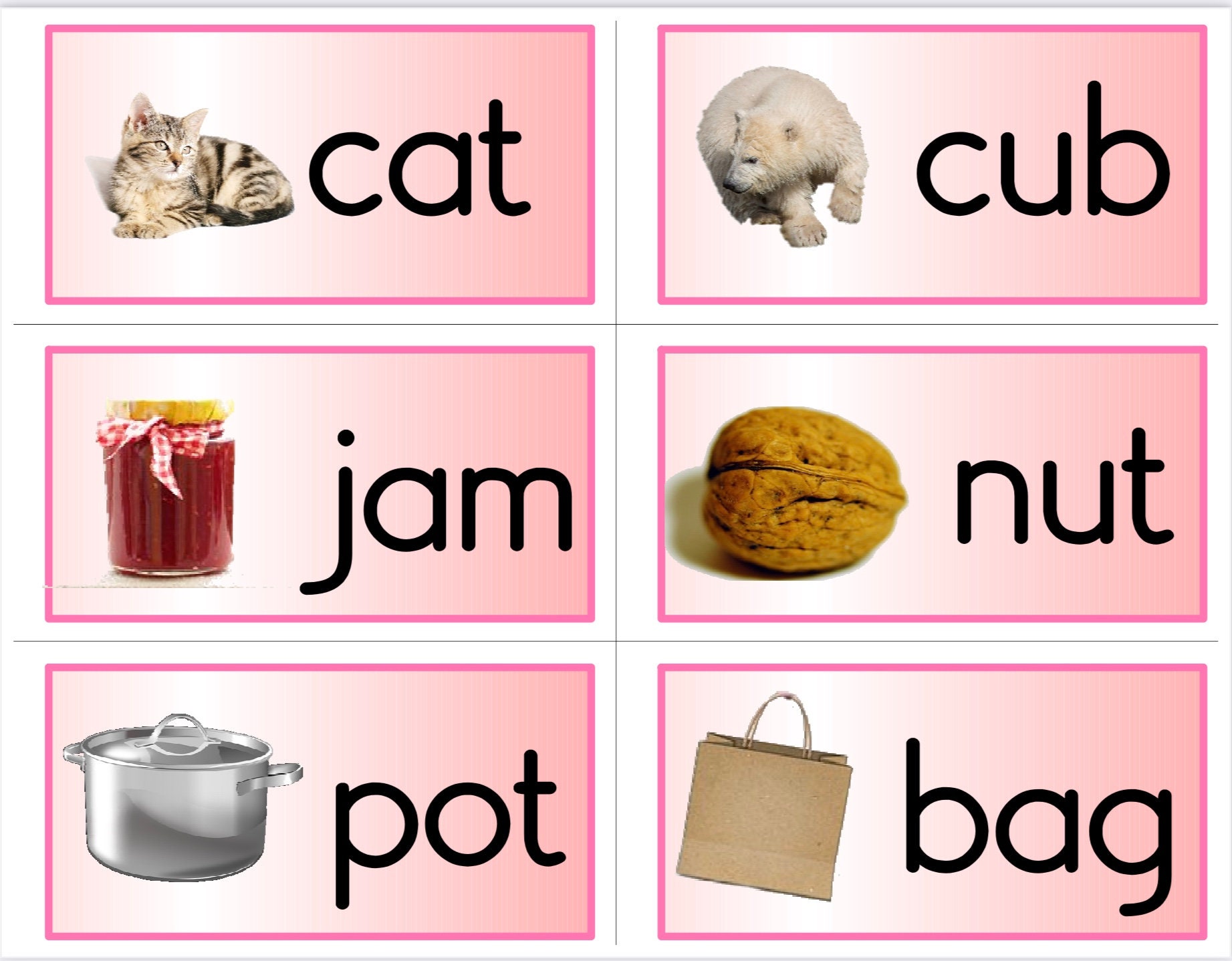 Pink Series 24 CVC Word Families Booklets Montessori Material for ...