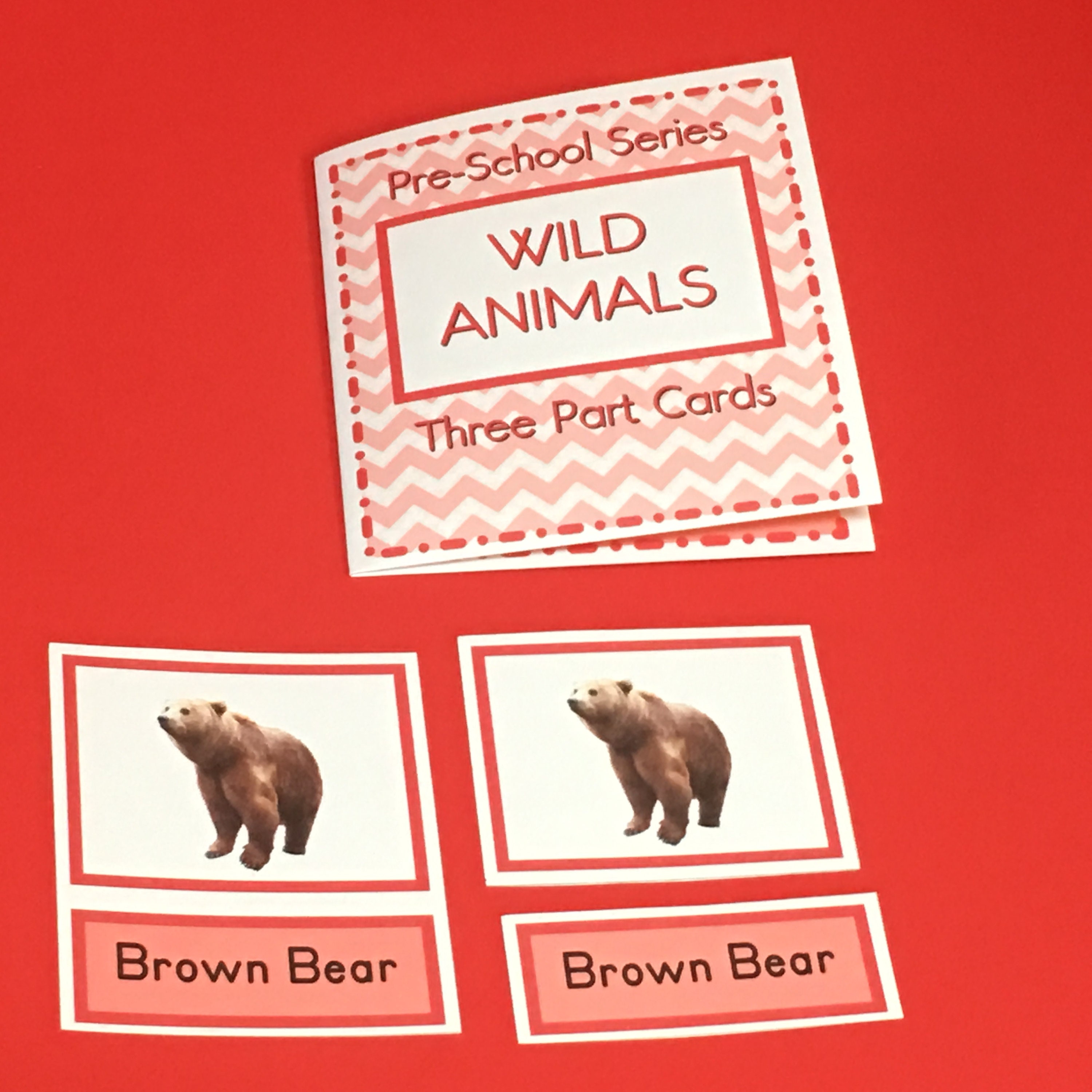 Zoology Series Wild Animals Three Part Card Set - Etsy