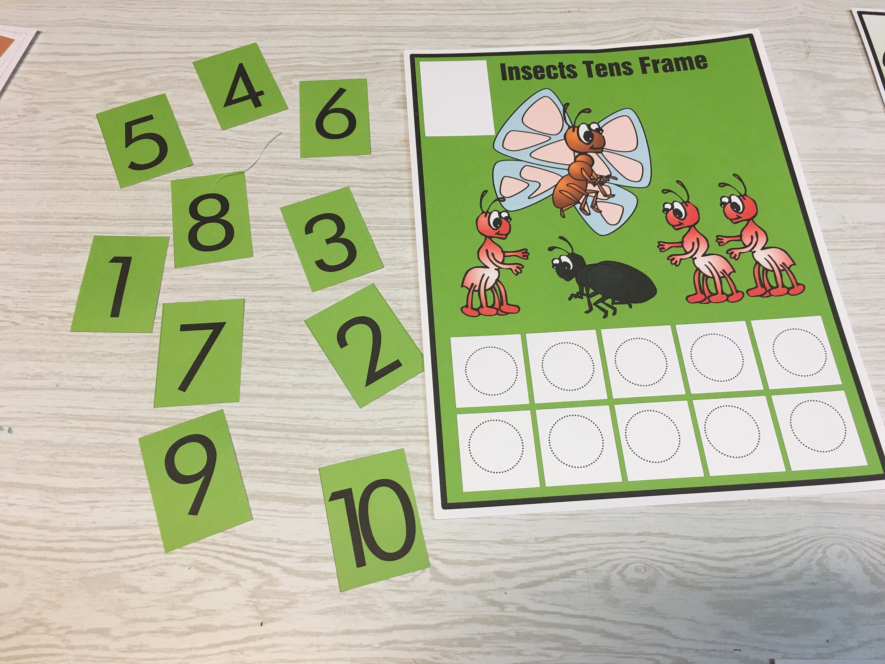 Insects Themed Activities Package for Learning Centers Perfect for ...