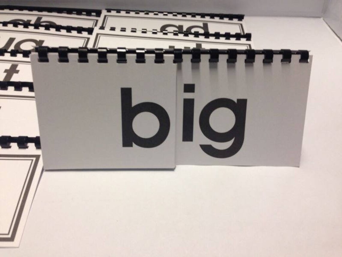 82 Word Family Flip Books Digital Download PDF 325 Pages - Etsy