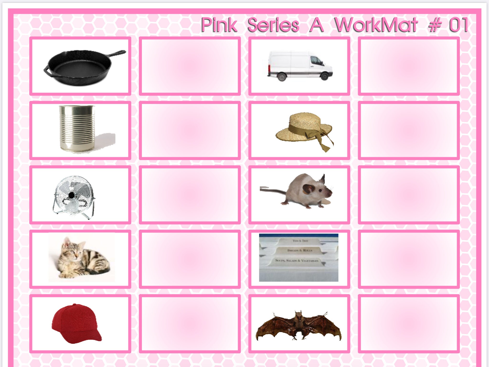 PINK SERIES Cdrom Montessori Activity Bundled Complete Set Educational ...