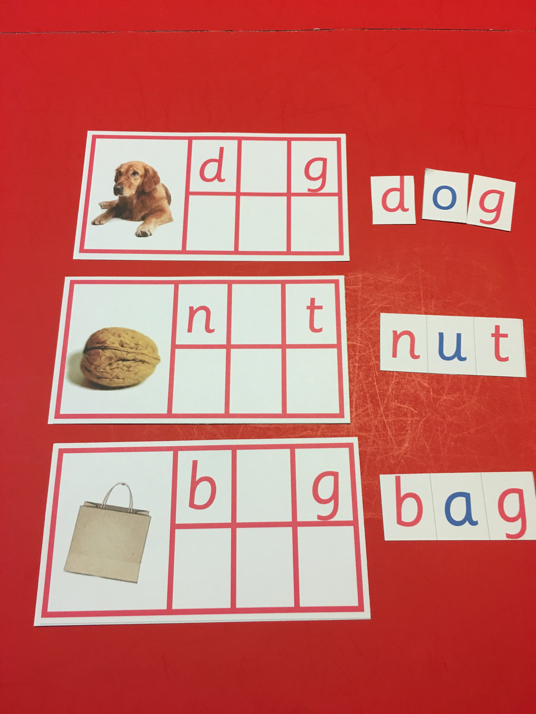 Pink Series Montessori Medial Sounds CVC WORD CARDS 45 - Etsy