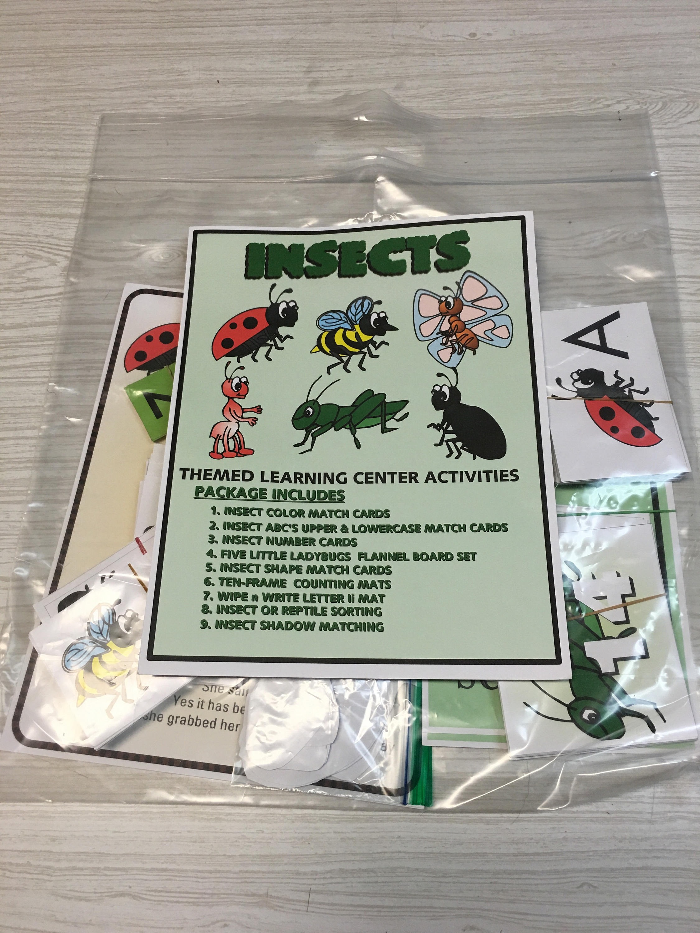 INSTANT DOWNLOAD Insect Themed Activities Package for Learning Centers ...