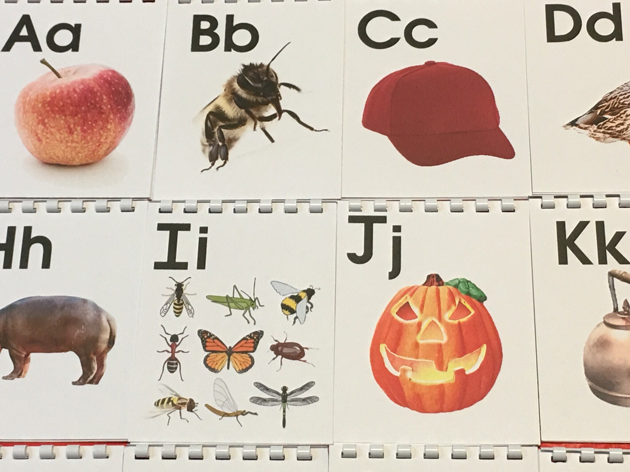 26 Alphabet Picture Flip Booklets (A to Z ) Complete Set - Homeschool ...