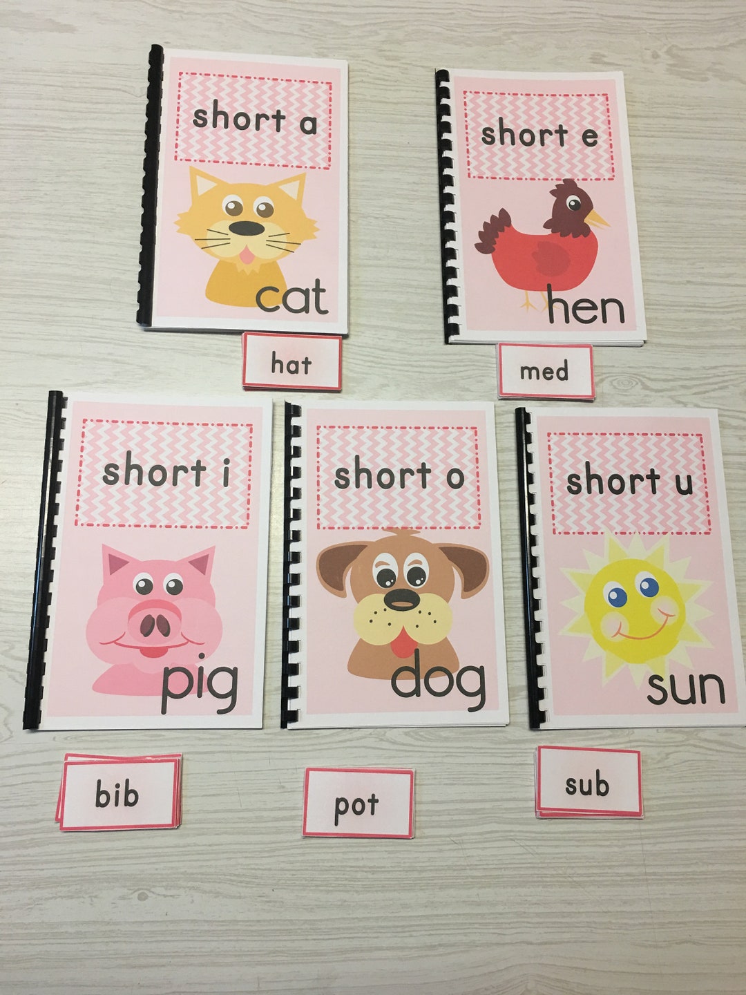 The Pink Series - Interactive Learning Books - Short Vowel Set - W/ 60 ...