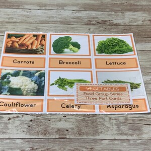Learning Resource Bundle - Complete Food Groups Series - Three Part ...