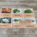 Learning Resource Bundle - Complete Food Groups Series - Three Part ...