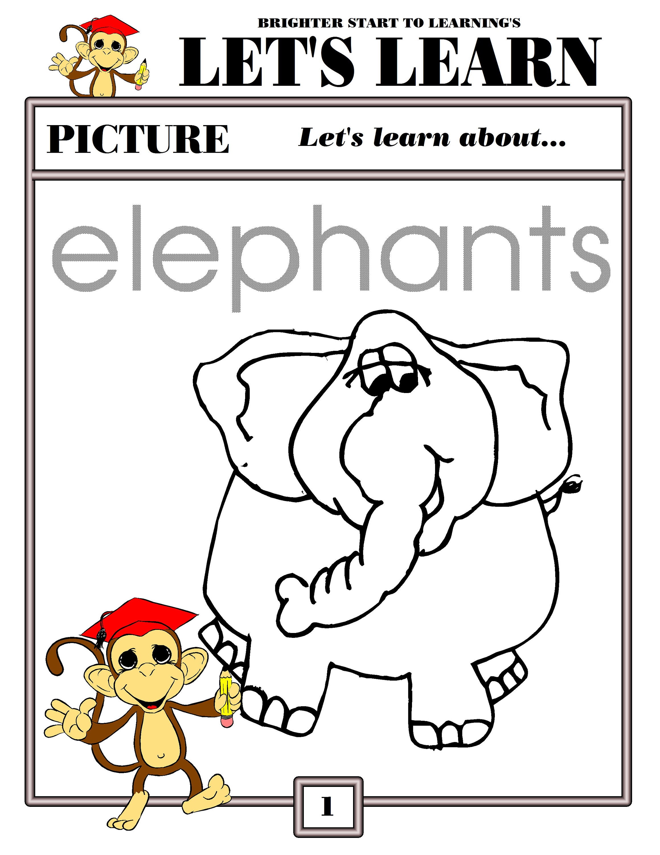 INSTANT DOWNLOAD - BSTL - Let’s Learn - Letter Ee - Work Booklet ...