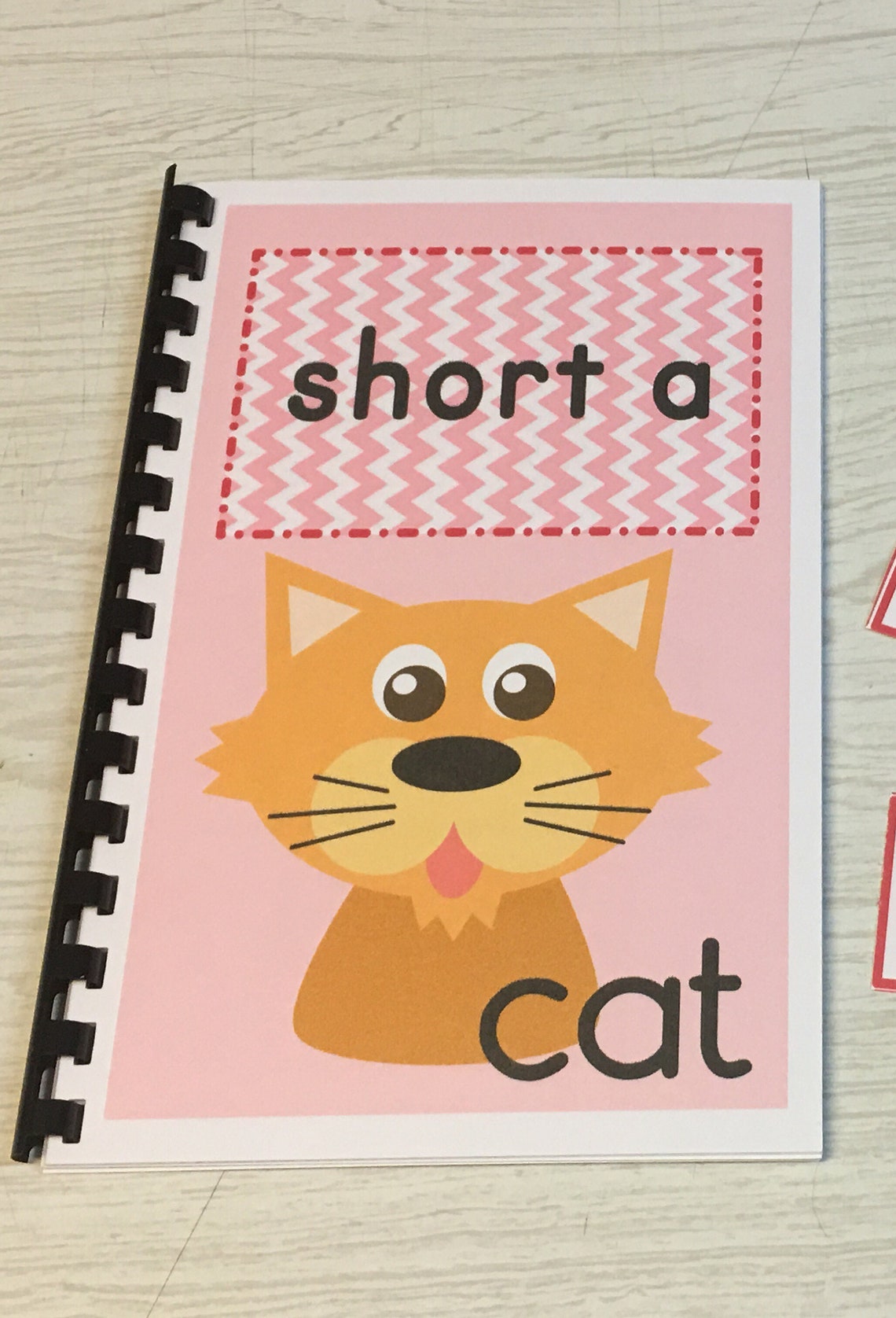 The Pink Series Interactive Learning Books Short a Book W/ 12 Laminated ...