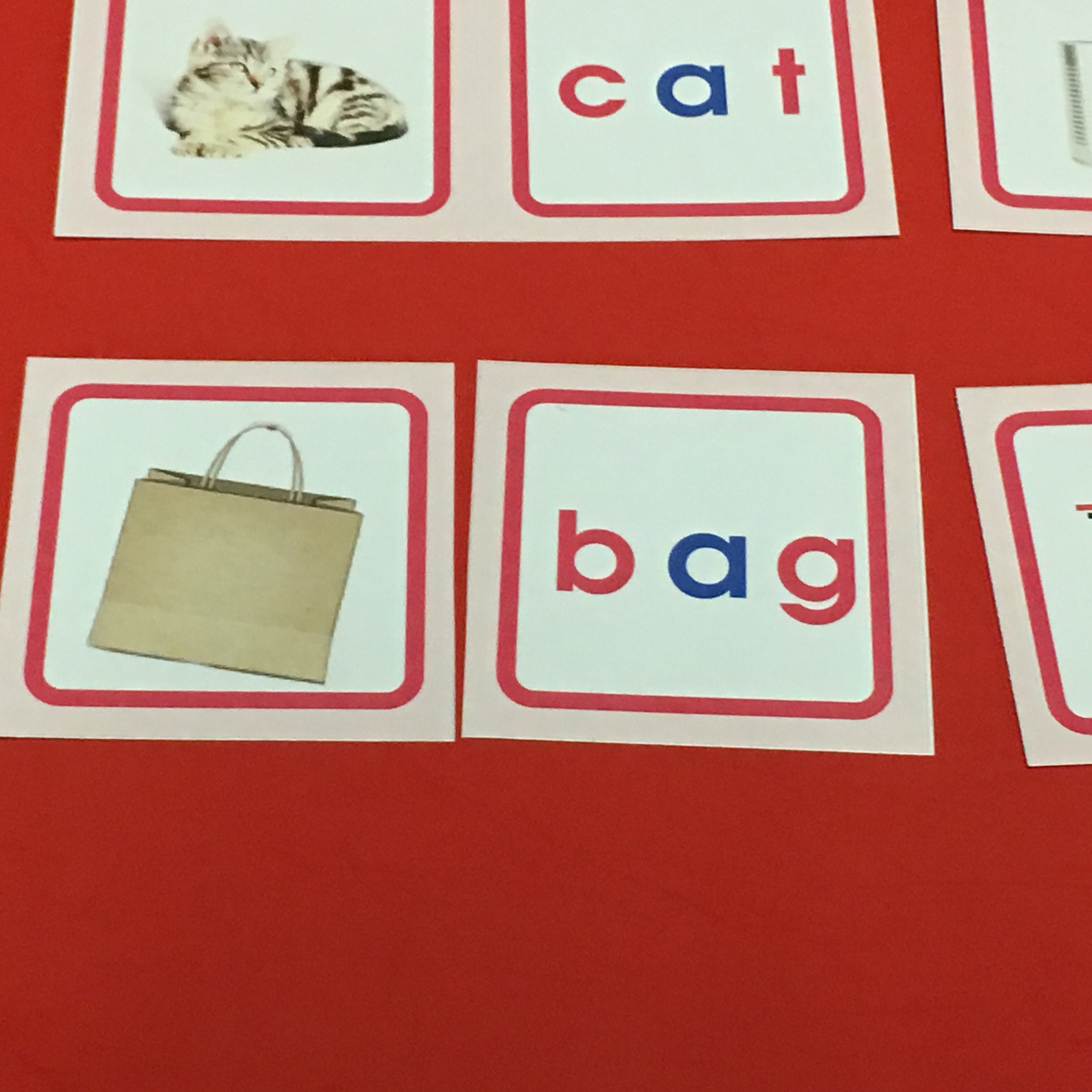 Pink Series Montessori - CVC PICTURE & WORD Match Cards -120 Laminated ...