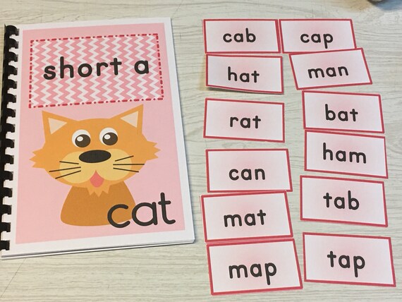 The Pink Series Interactive Learning Books Short a Book | Etsy