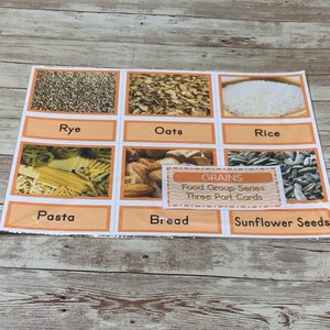 Learning Resource Bundle - Complete Food Groups Series - Three Part ...