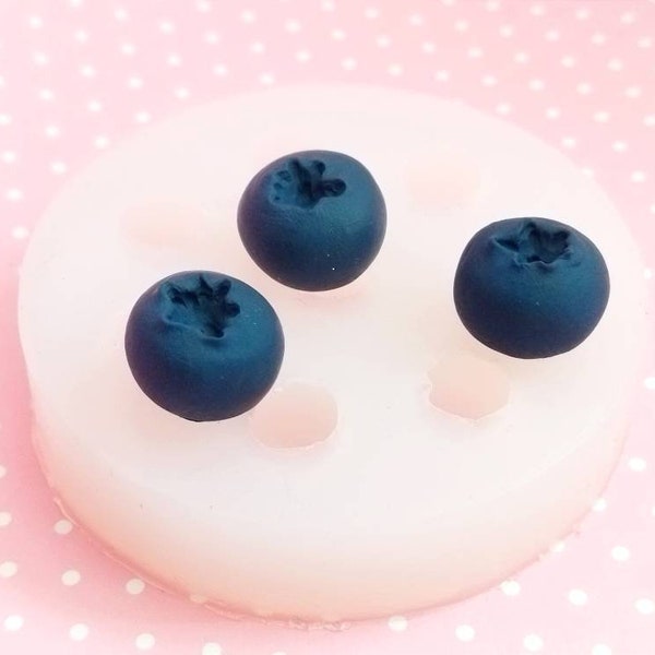 Silicone Blueberry Mold - Etsy