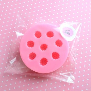 Raspberry Silicone Mold, Fruit Polymer Clay Mold, Flexible Push Mold ...