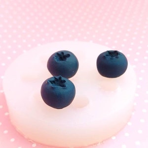 Blueberry Silicone Mold, Fruit Polymer Clay Mold, Flexible Push Mold ...