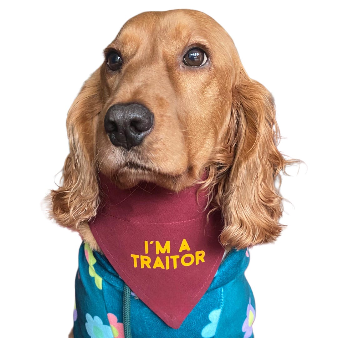 I Am a Faithful I Am a Traitor Dog Bandana Slip on Collar - Etsy