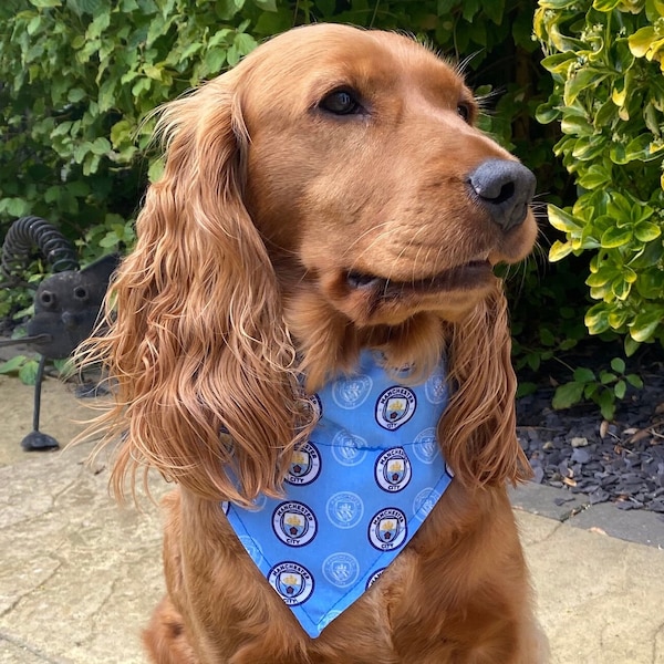 Neckerchief Slide - Etsy