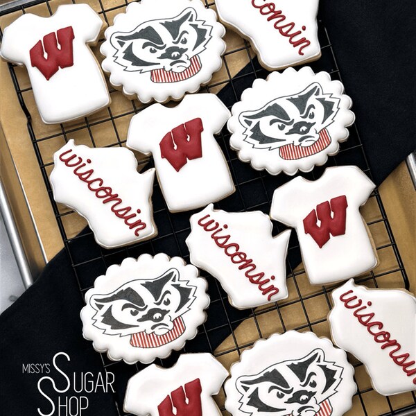 University of Wisconsin Madison Cake - Etsy