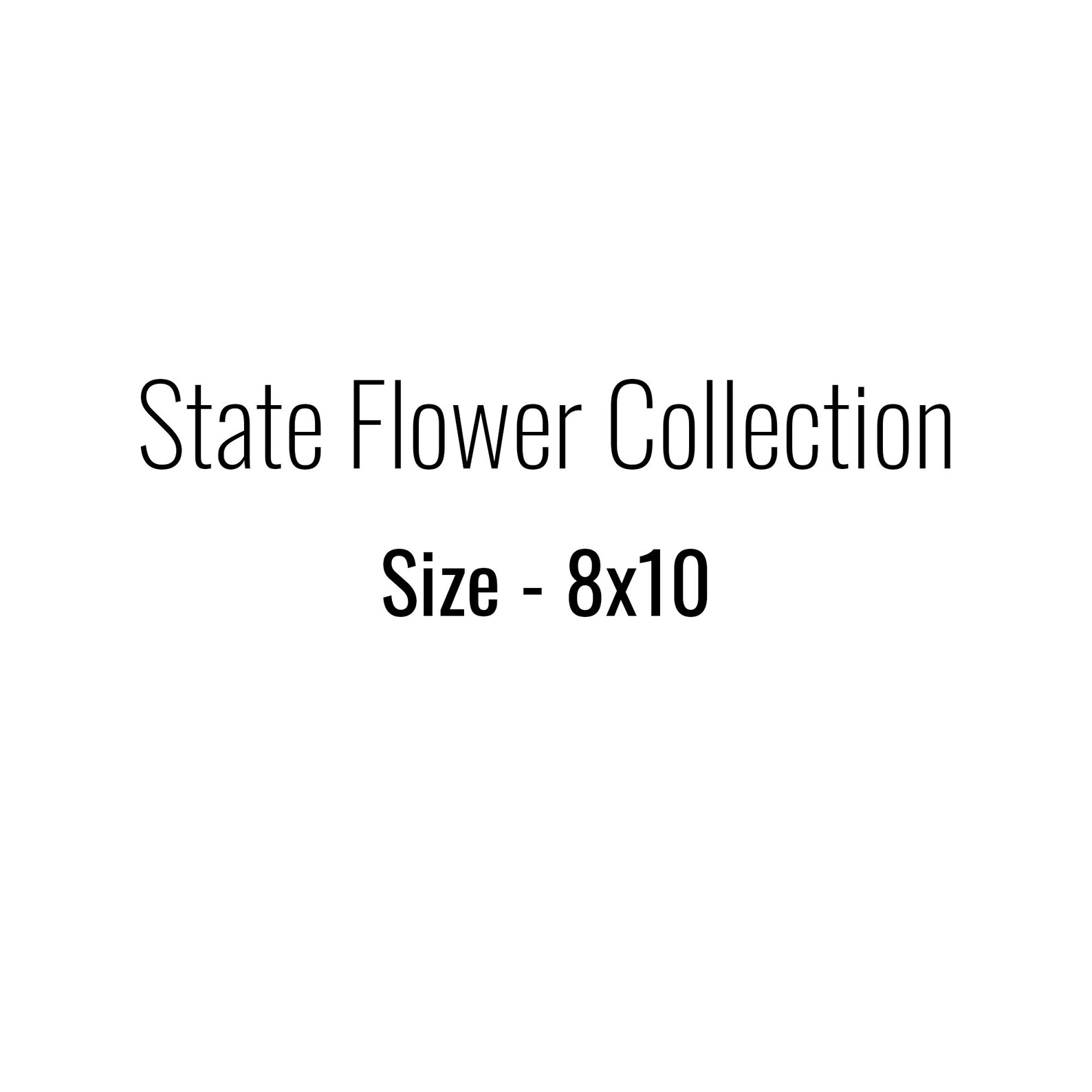 Massachusetts Mayflower Print: Watercolor State Flower Art (digital ...