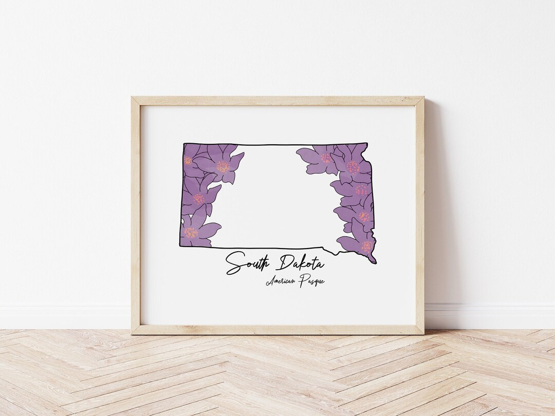 South Dakota Flower Print: American Pasque Watercolor (8x10) - Etsy