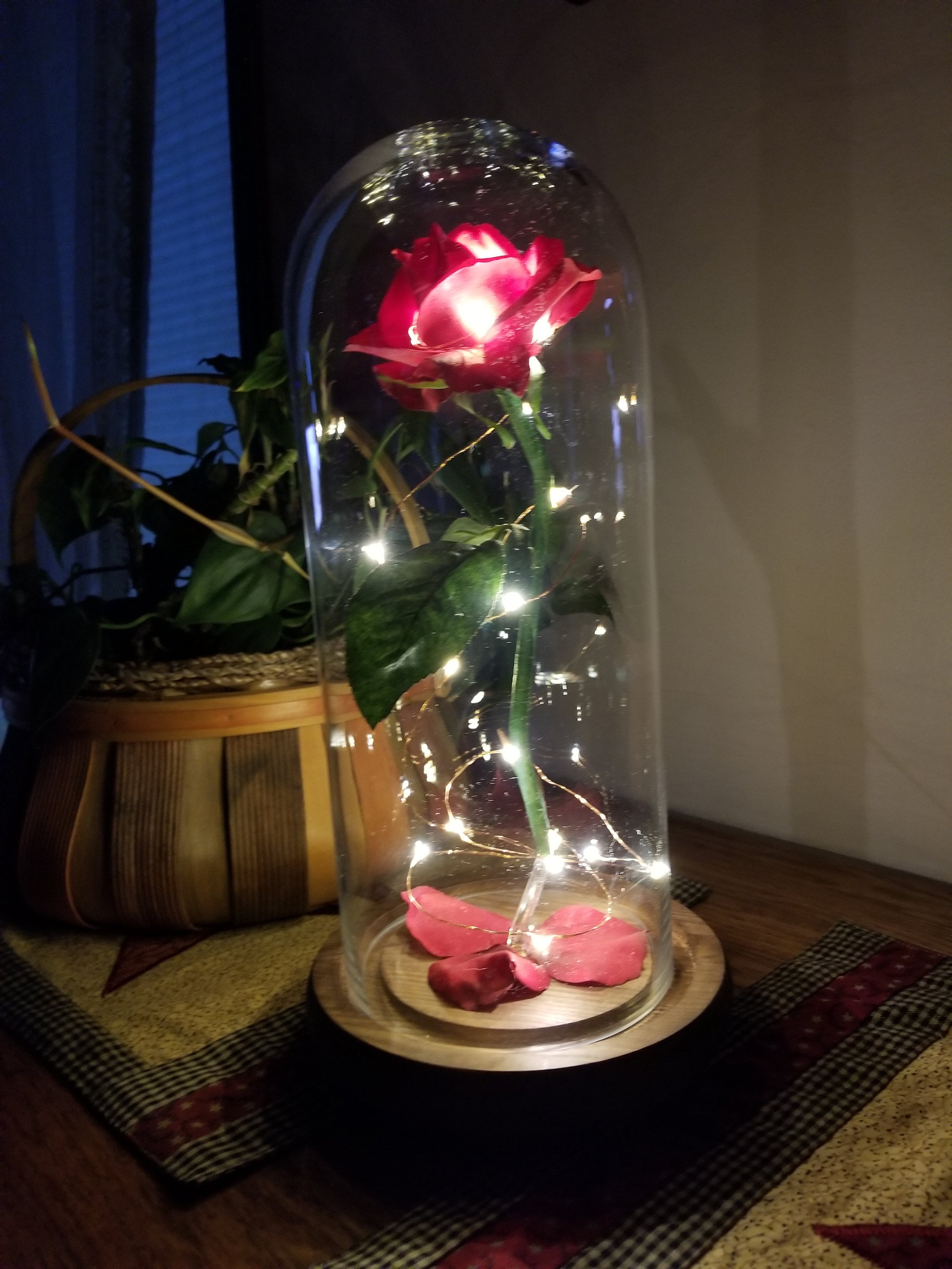 The "enchanted Rose"... Economy Version - Etsy