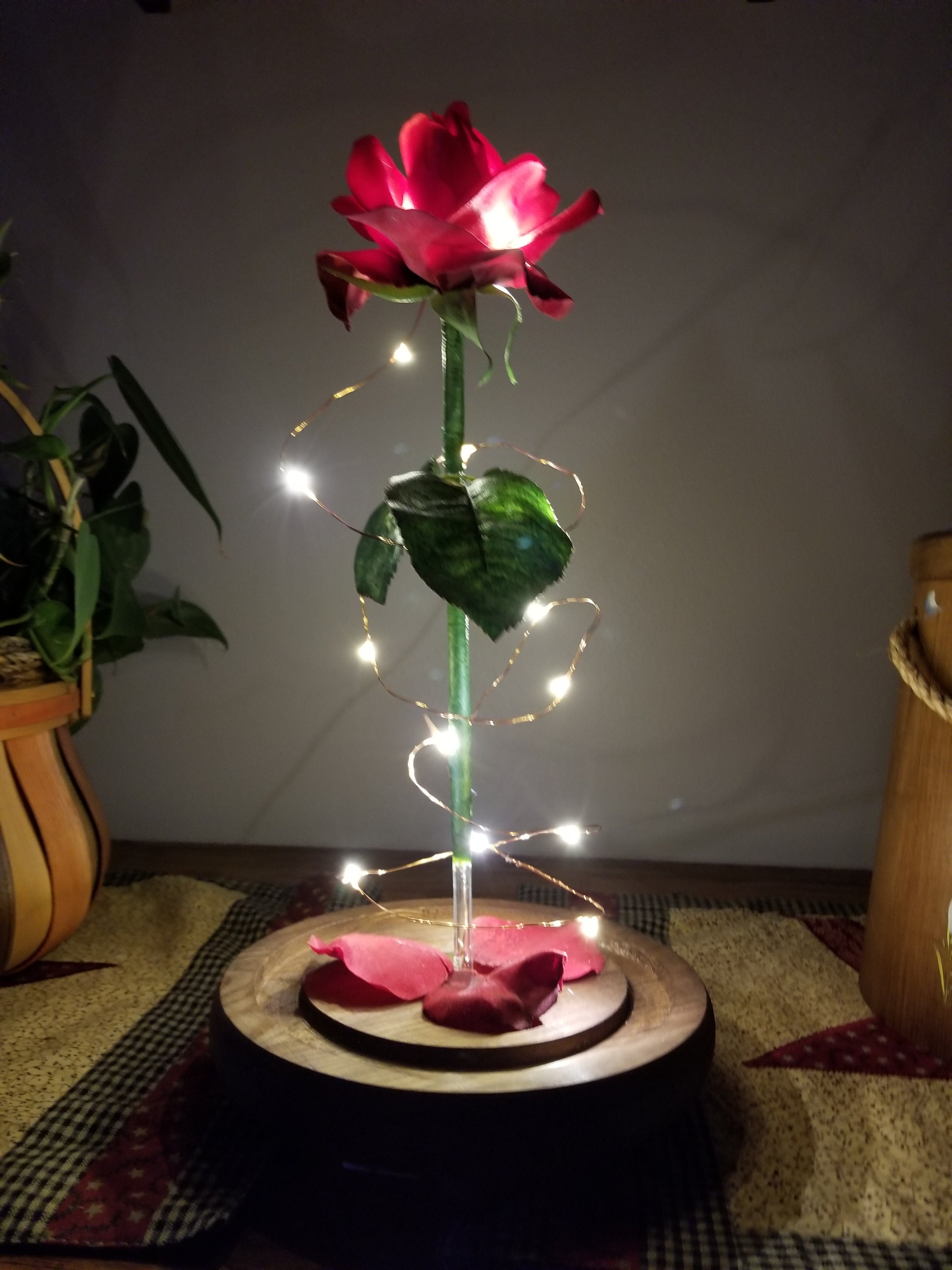 The "enchanted Rose"... Economy Version - Etsy