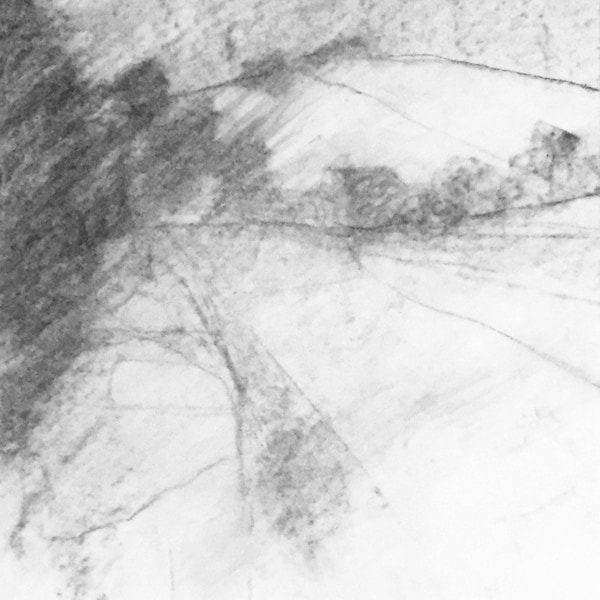 4247 Stop ......... an Original Charcoal Drawing of a Defiant Man - Etsy