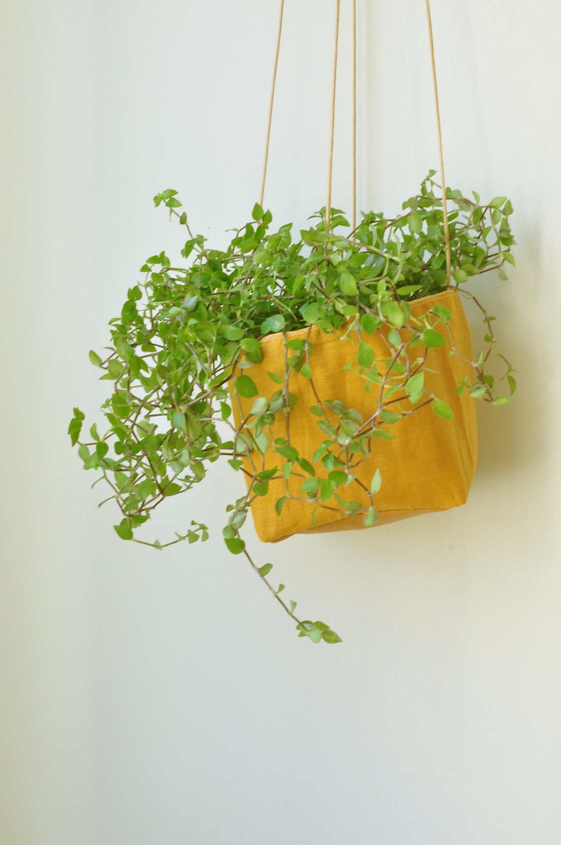 Planter Hanging Paper Planter Made From Washable Reusable | Etsy