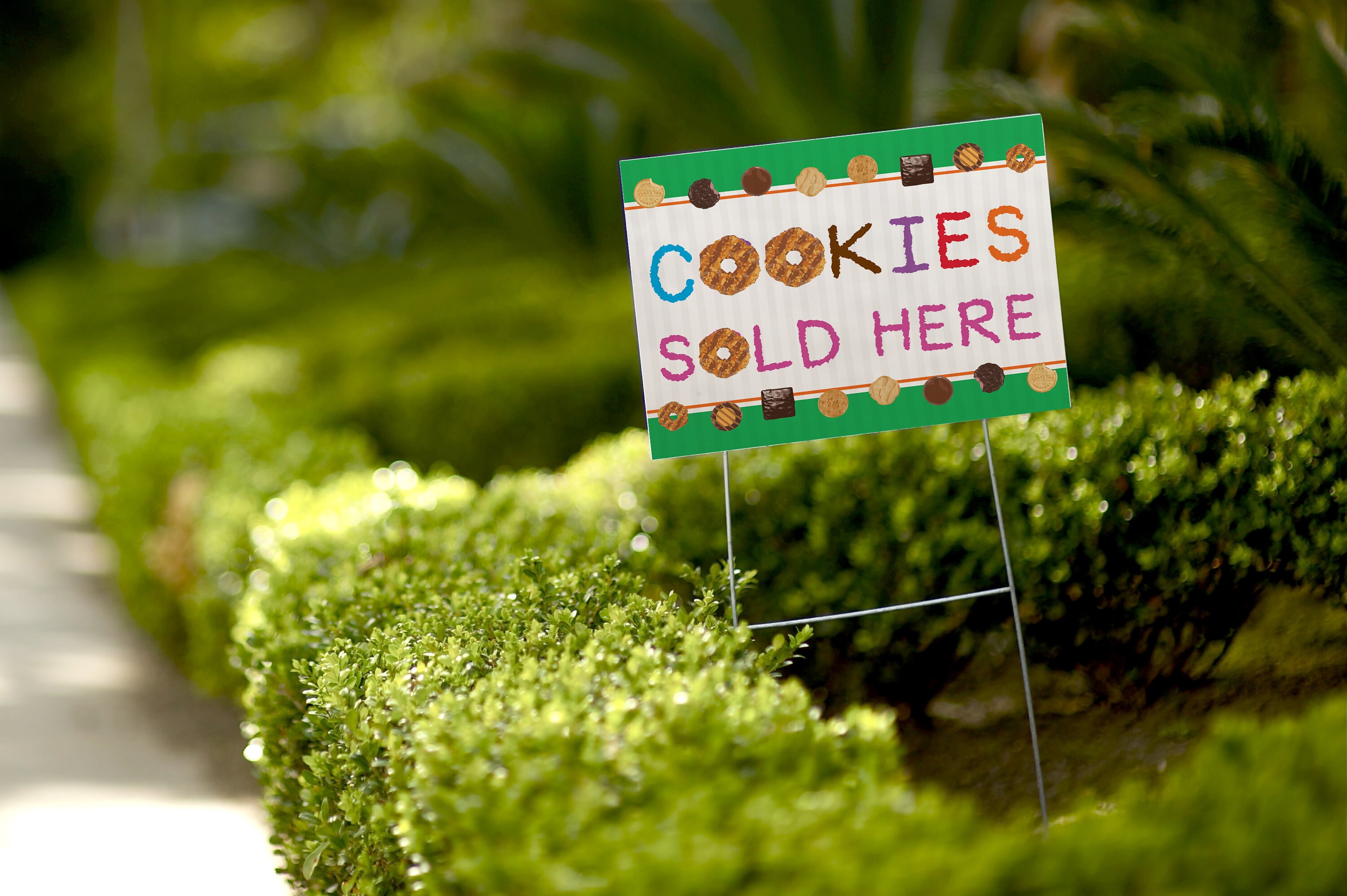 Scout Cookies YARD SIGN 24in X 18in Double Sided - Etsy