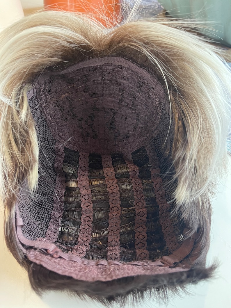 Tina Turner Labyrinth David Bowie Rocker Wig Long Large Cap Unisex ...