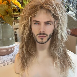 Tina Turner Labyrinth David Bowie Rocker Wig Long Large Cap Unisex ...