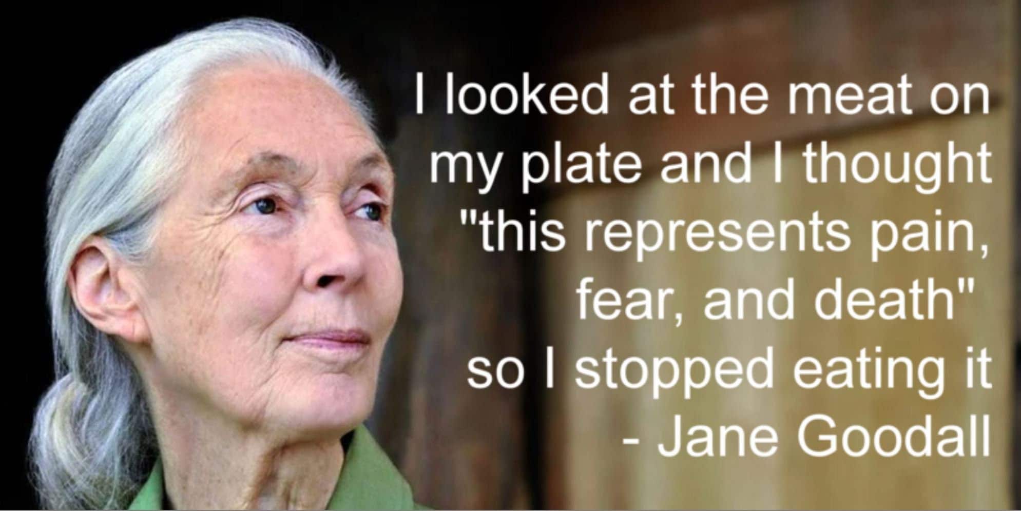 10 Pack Jane Goodall Vegan Animal Rights Activist Stickers - Etsy