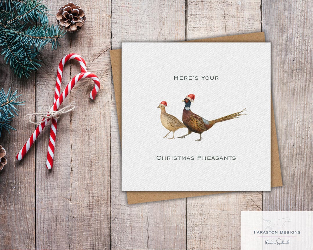 Pheasant Christmas Card: Watercolour Game Birds, Country Sports Seasons ...