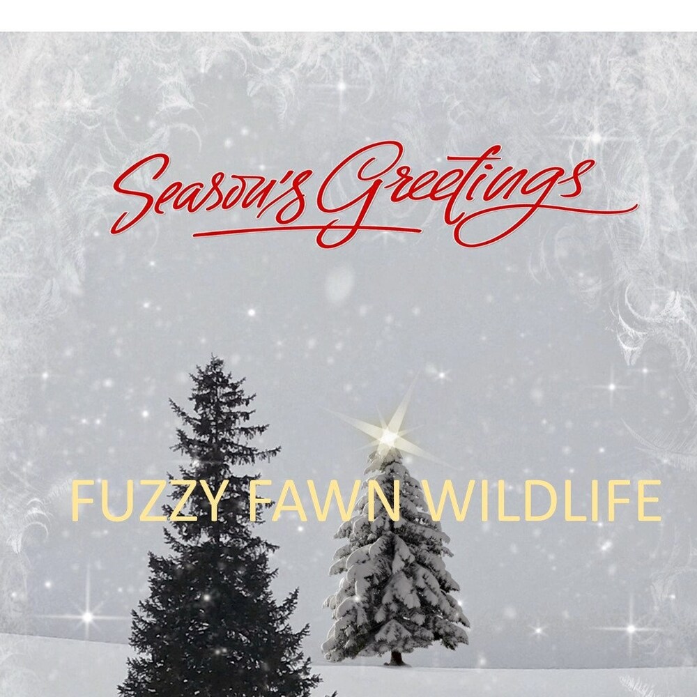 FuzzyFawnShop (Ships from: the US) - Etsy