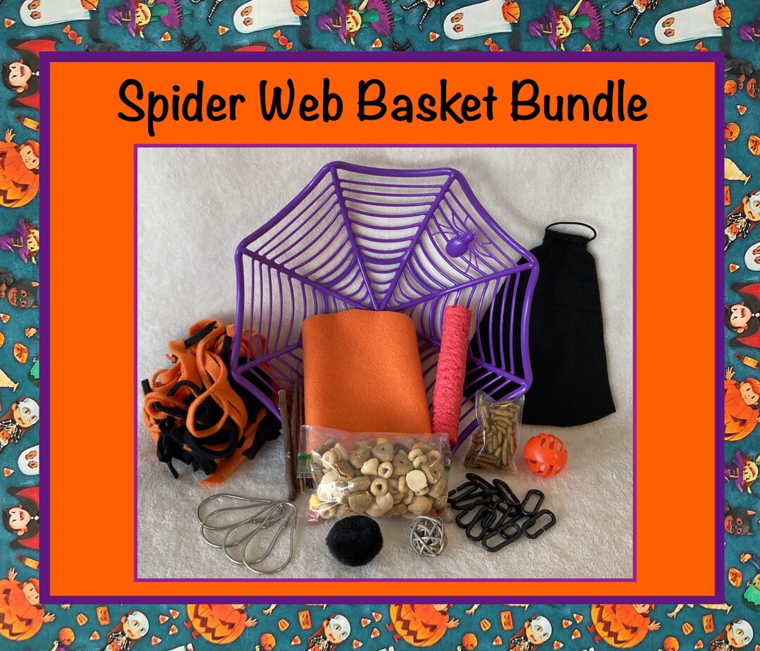Halloween Spider Web Basket Bundle for Pet Rats Includes - Etsy