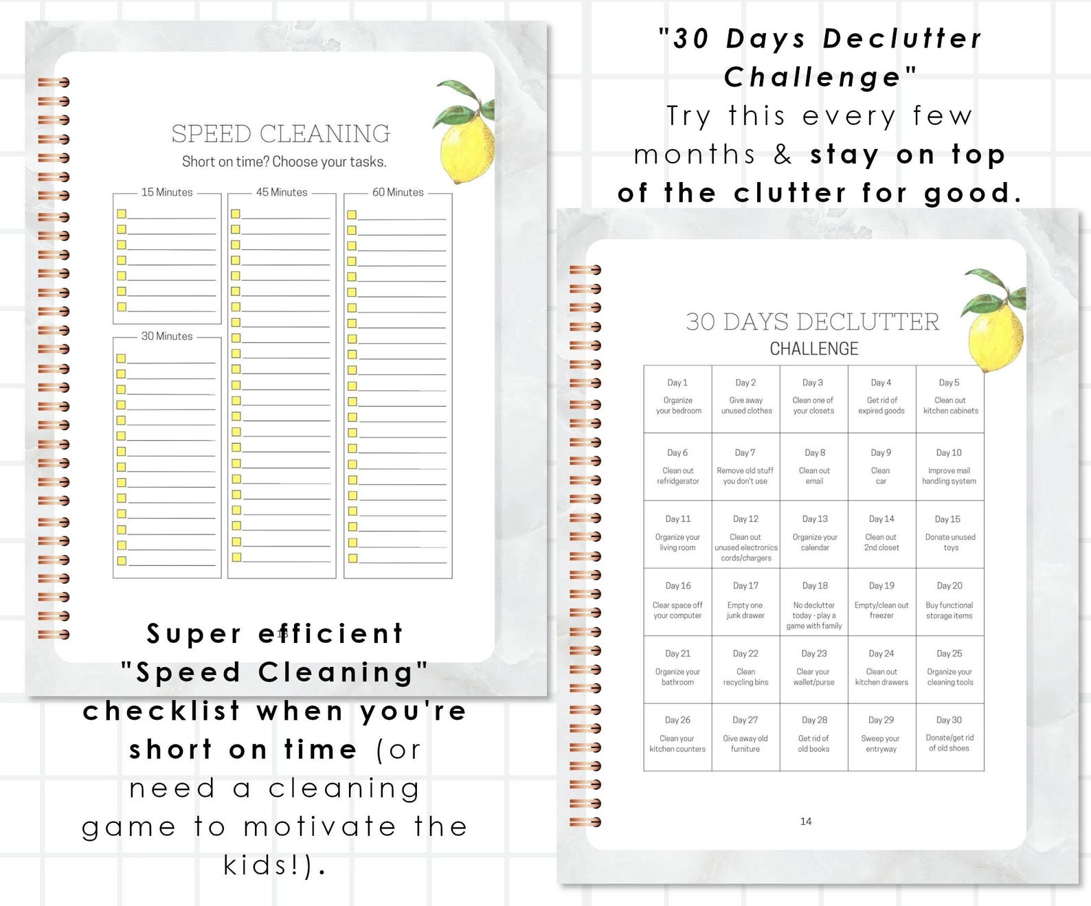 Lemon Cleaning Checklist Bundle: Spring Cleaning Planner (PDF) - Etsy