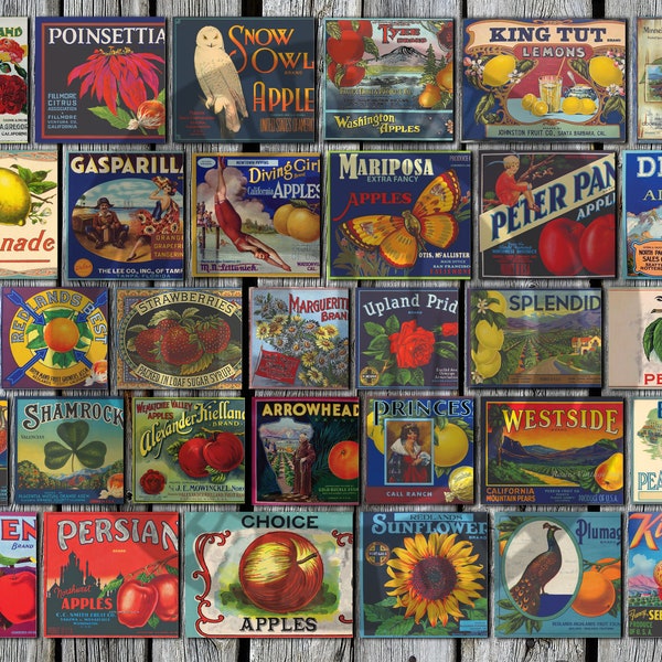 Vintage Fruit Label - Etsy